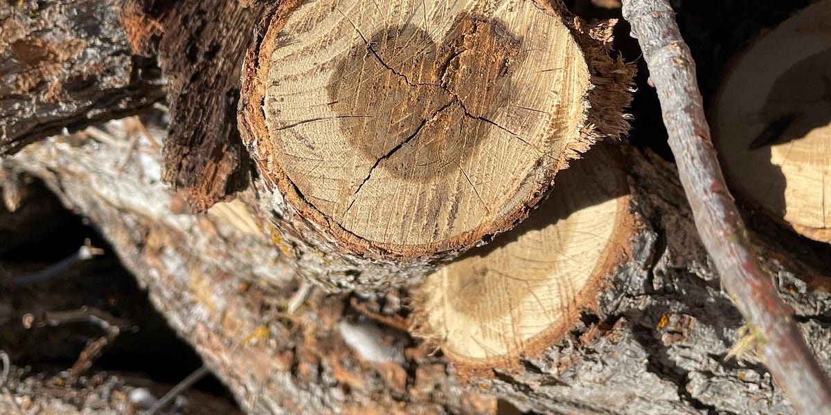 The liminal space - #70 - by Kelton Wright - Shangrilogs