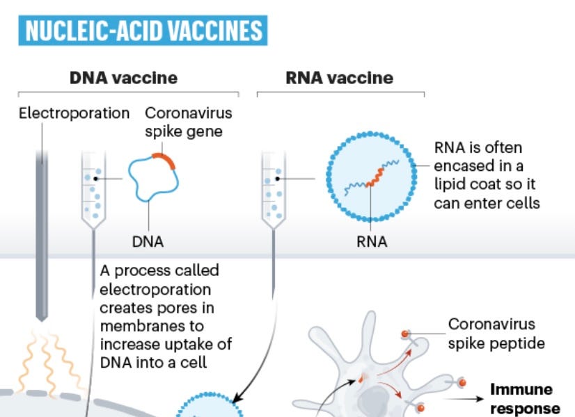mRNA and DNA - by YLE - Your Local Epidemiologist