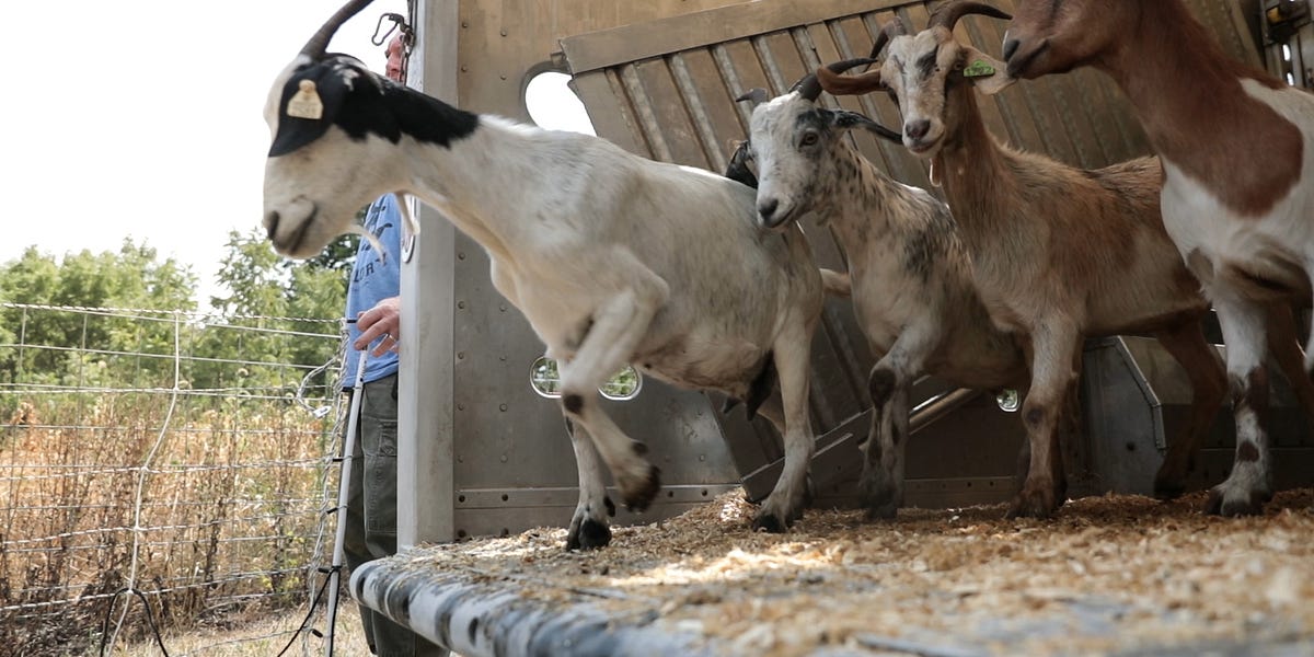 Weekly Plan 12/4/22 - by Tic Toc Trading