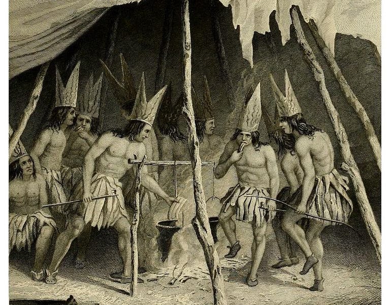 African Shapeshifting Wizard Meets Grizzly End...