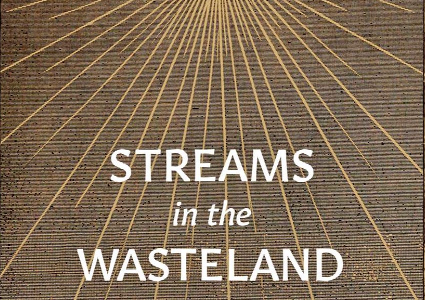 Streams in the Wasteland - by Chris EW Green