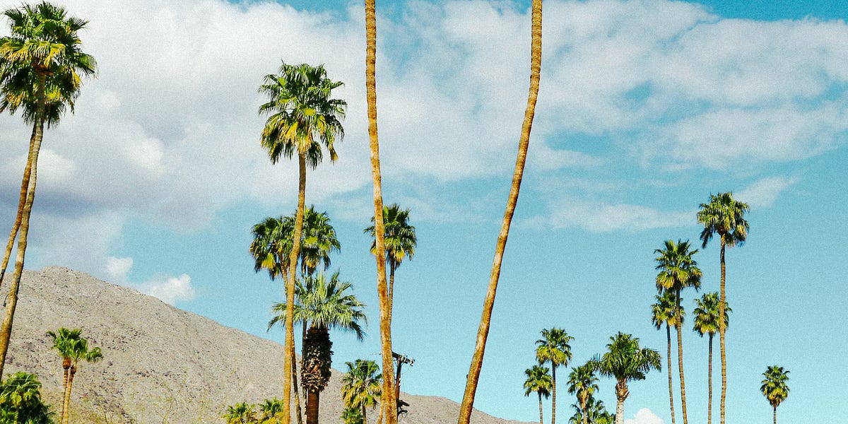 Revolve Festival Hints at Necessary Demise of Influencer Events