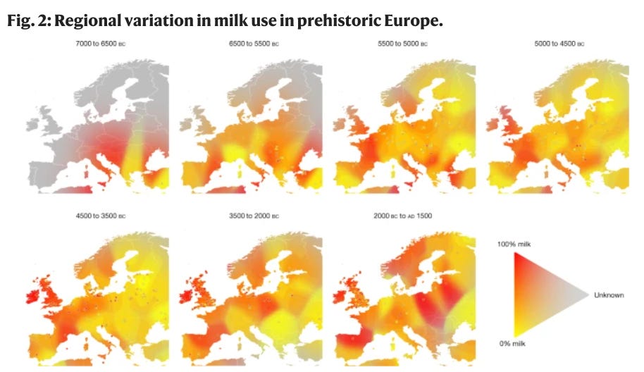 Breakdown of Lactase Persistence Paper