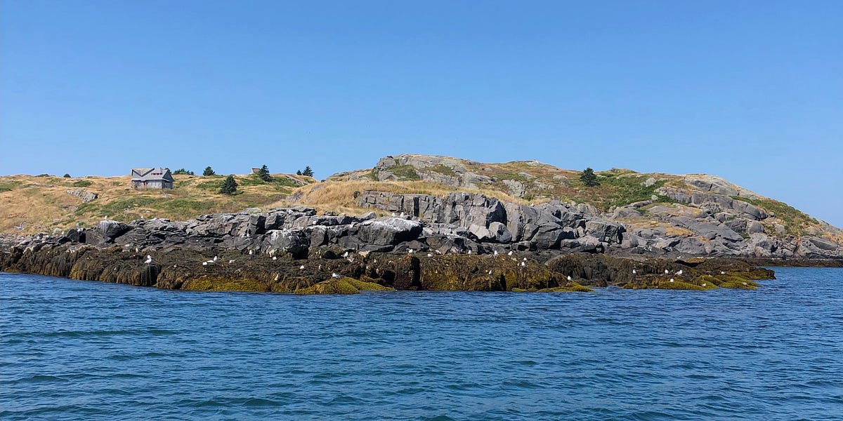 At Sea - by Eiren Caffall