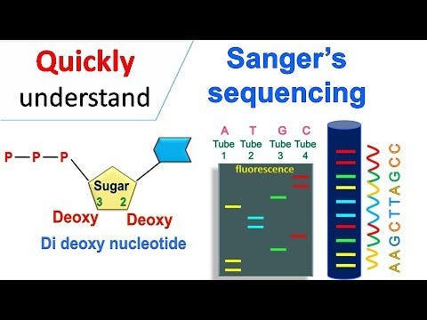 Sanger sequencing vs. NGS sequencing