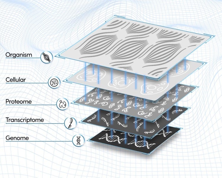 Meliora Therapeutics is building the full stack solution for MOA ...