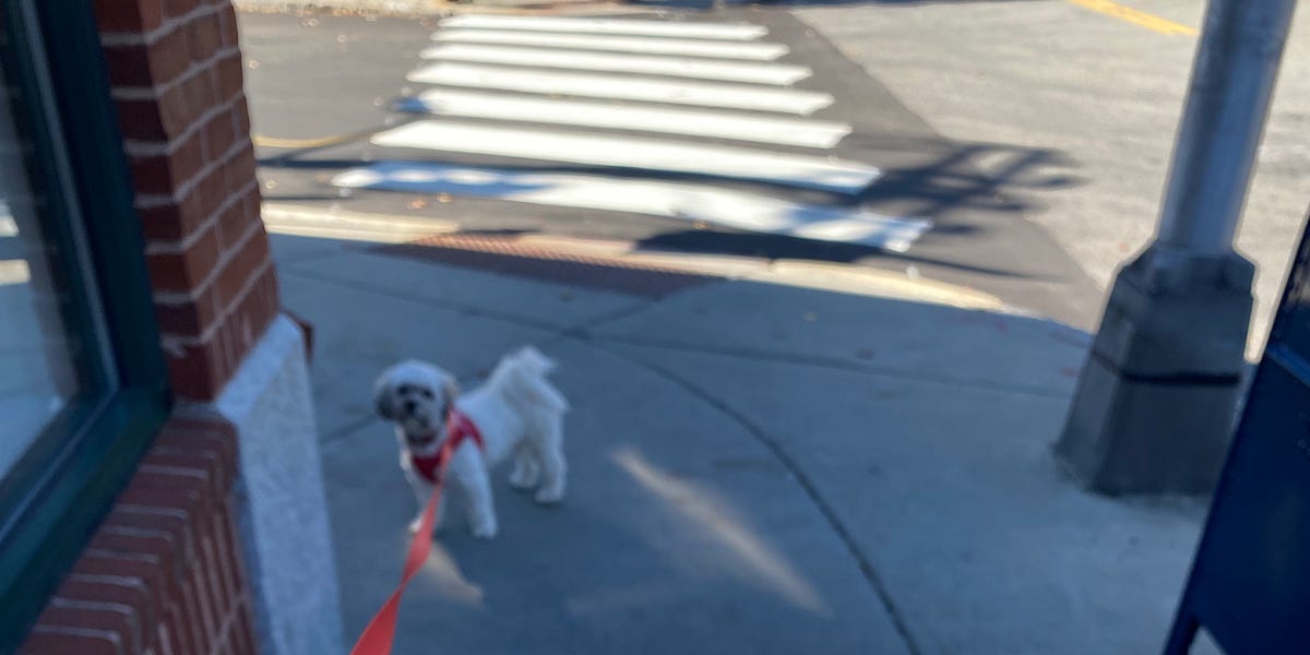 Friday Thread - by Milan Singh - Slow Boring