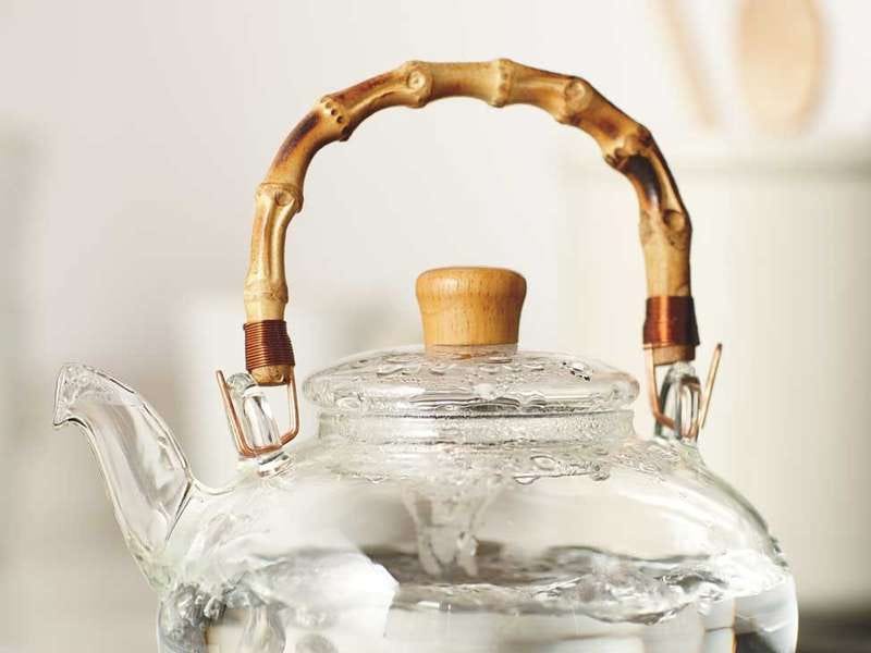 Episode #19: Say You're a Gardener - by Craig Moreau