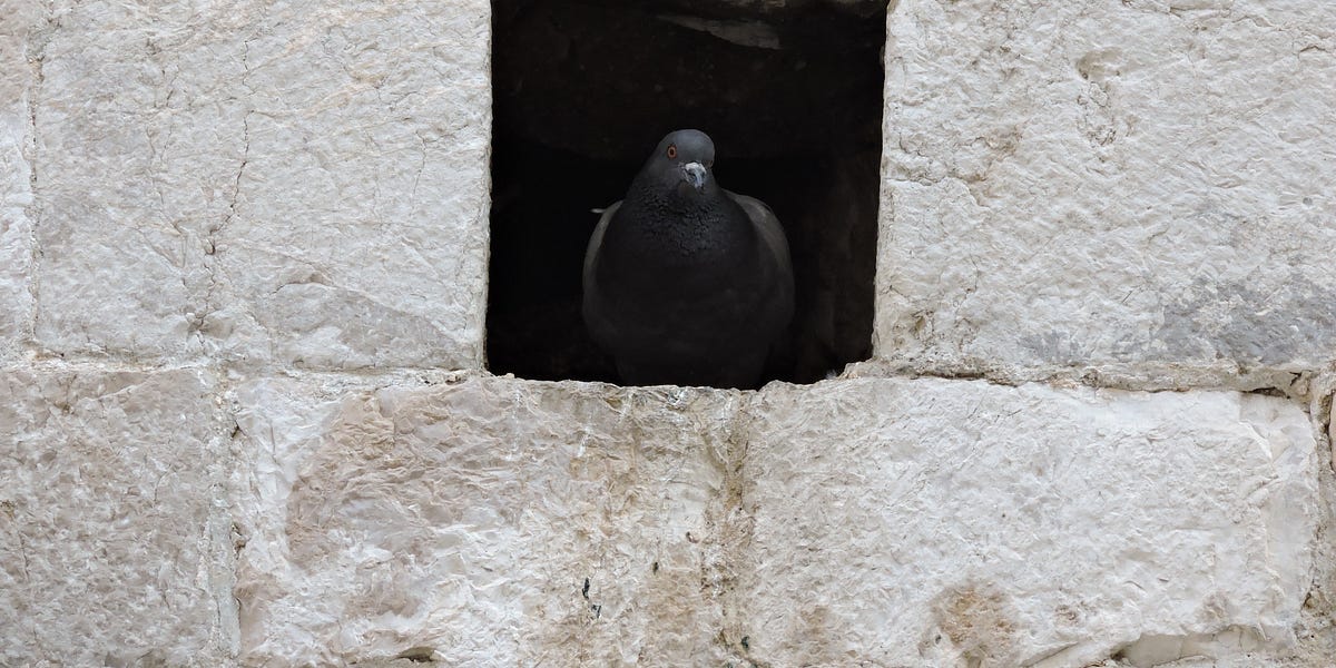 Il discorso impossibile - by Giovanni Zagni - Incertezze