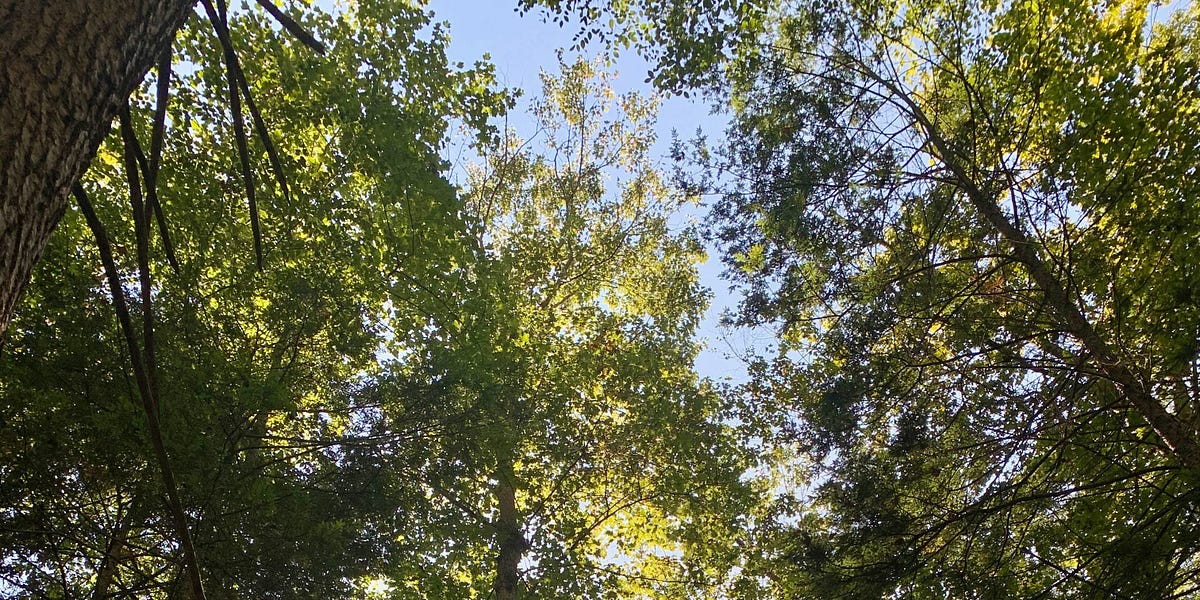 day one - by Aaron Aiken - Oh Two Seven