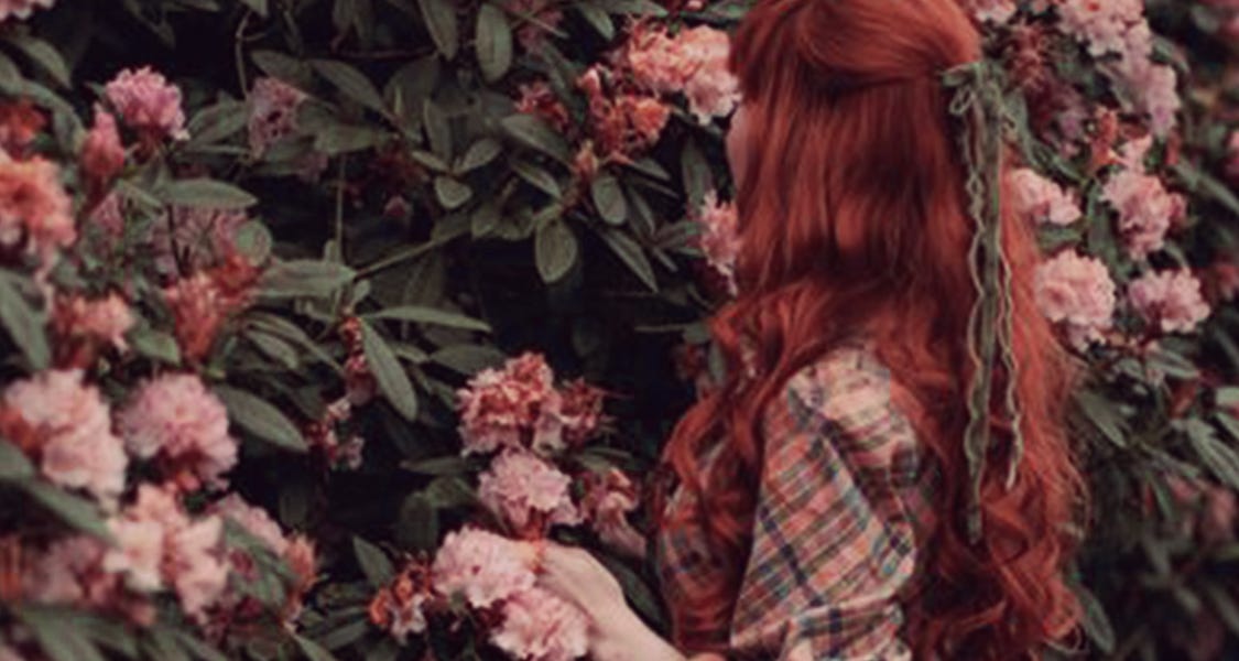 For the Beauty of Europa - Europa Invicta