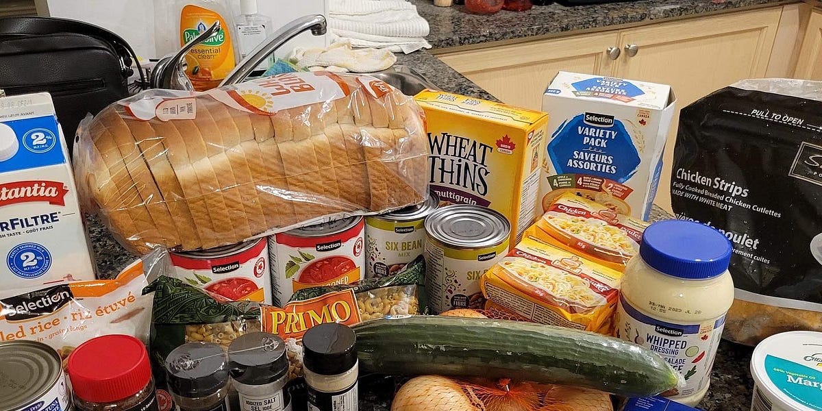 The ODSP Diet By Sabrina Nanji Queen s Park Observer the-odsp-diet-by-sabrina-nanji-queen-s-park-observer