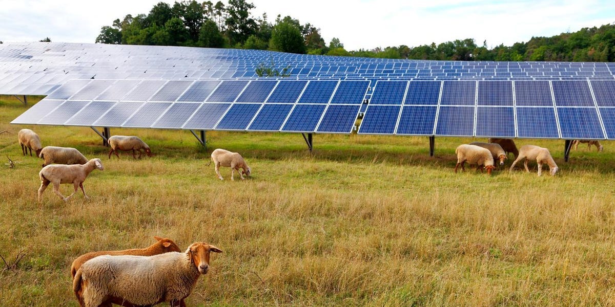 September 2022 Stakeholder Update - by BCarbon