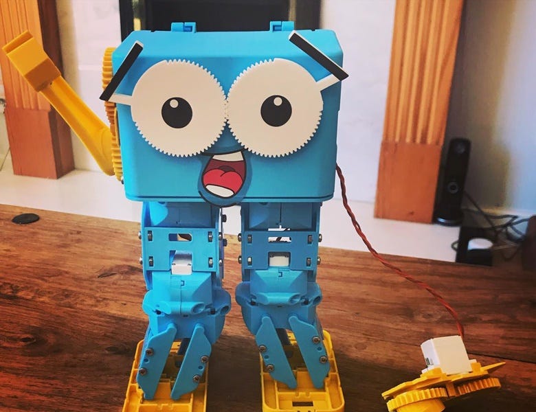 Meet Marty the Robot My Pet Project - by Trisha Dunbar