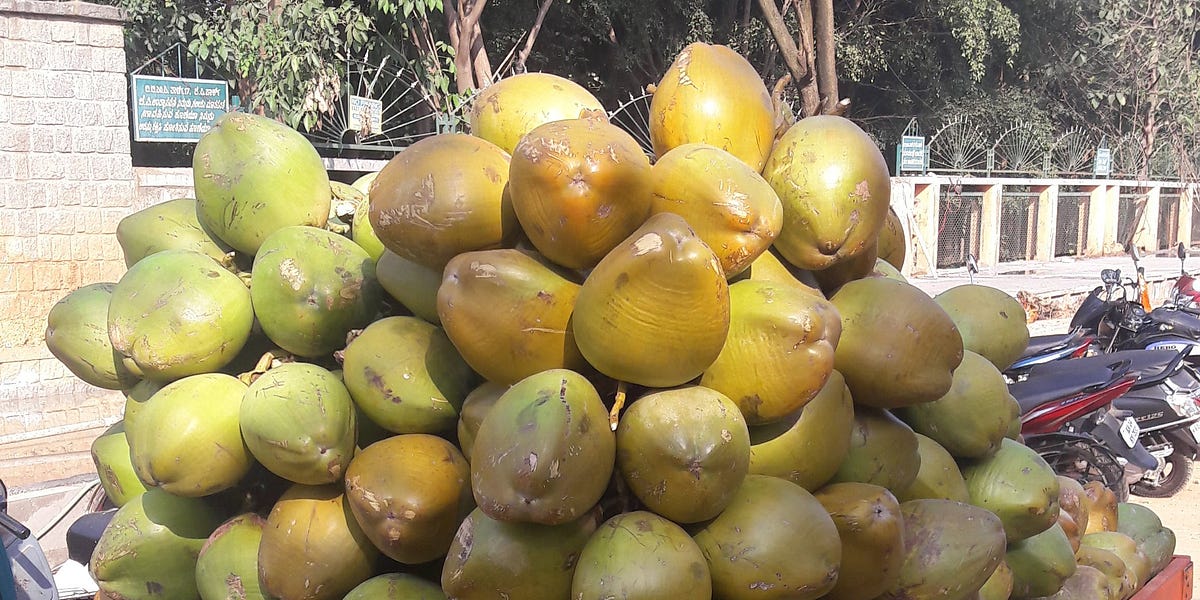 The enduring appeal of refreshing tender coconuts