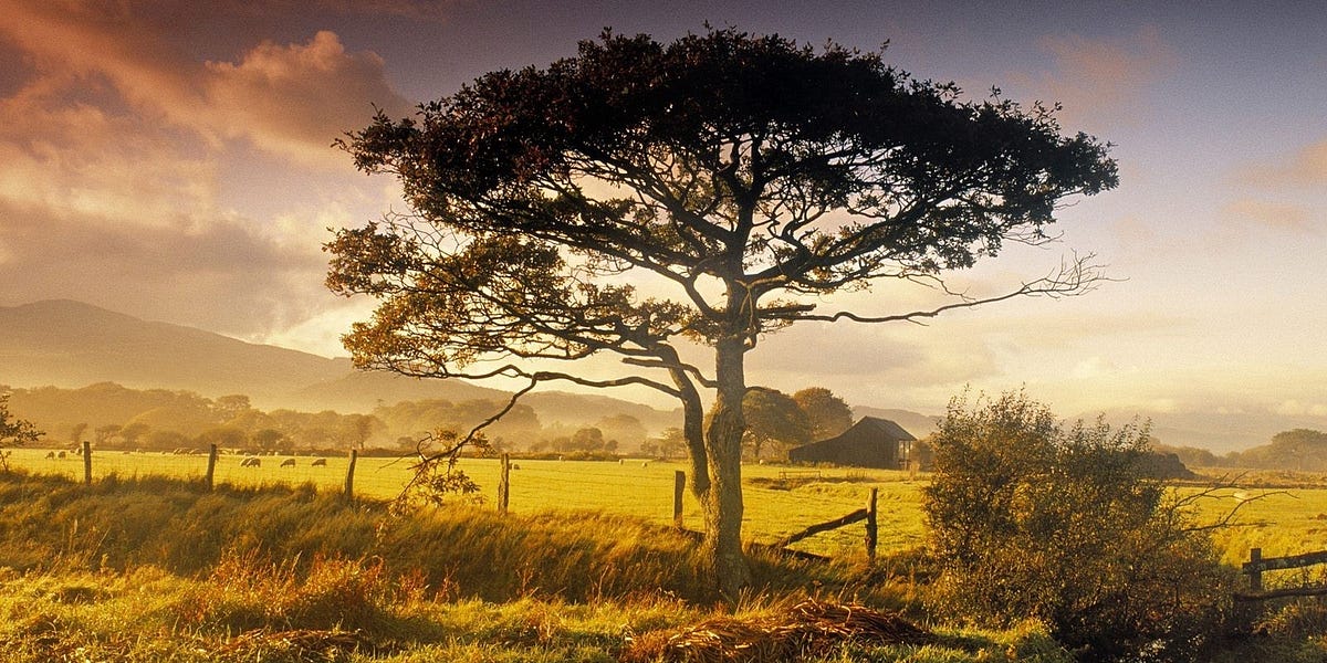 The Great Dissociation - by Erin Galvin - Just.A.Thought