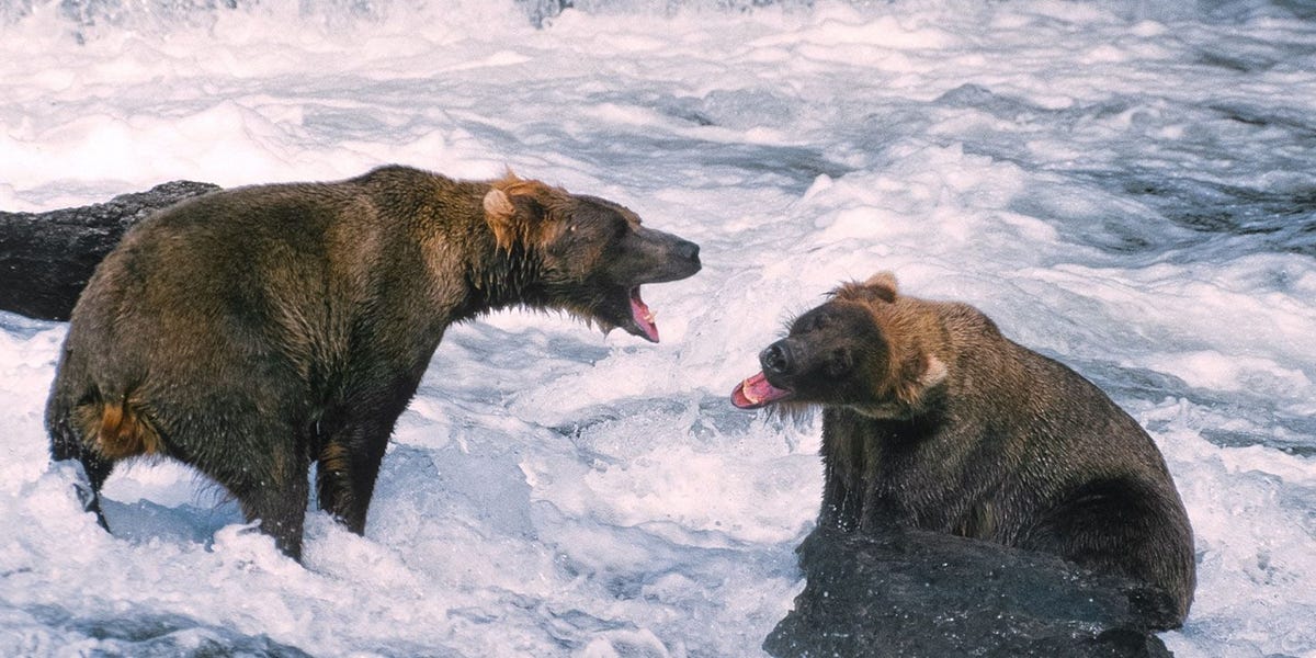 When Everything is Not Enough - by Mike Cheesman