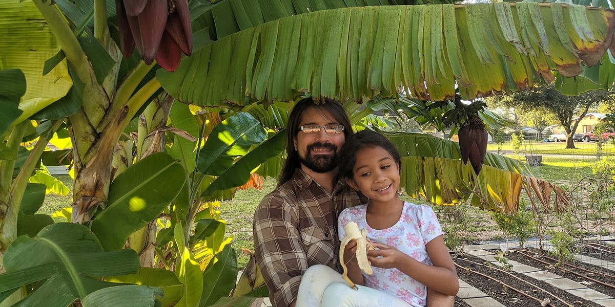 Modeling Reality - by John Day MD - Dr. John's Blog