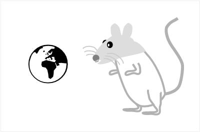 World - Rat Says