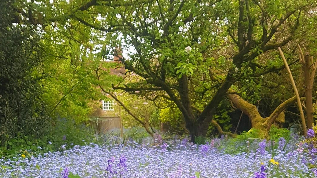 How to have a good afterlife, by the Green Fix