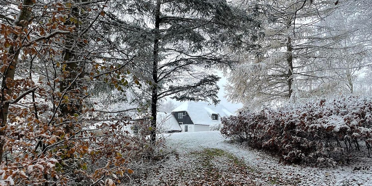 Snow blindness - by Mandy Pearson - Stories from Engelshus