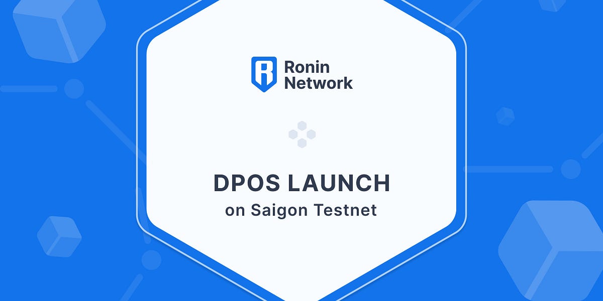 Saigon Validator Program - by Ronin Network