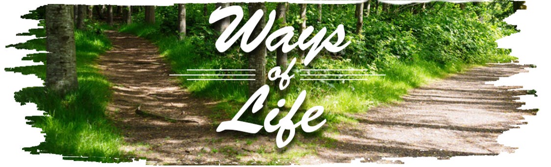 Ways of Life: 'We tell the story so someone else doesn't have to go ...