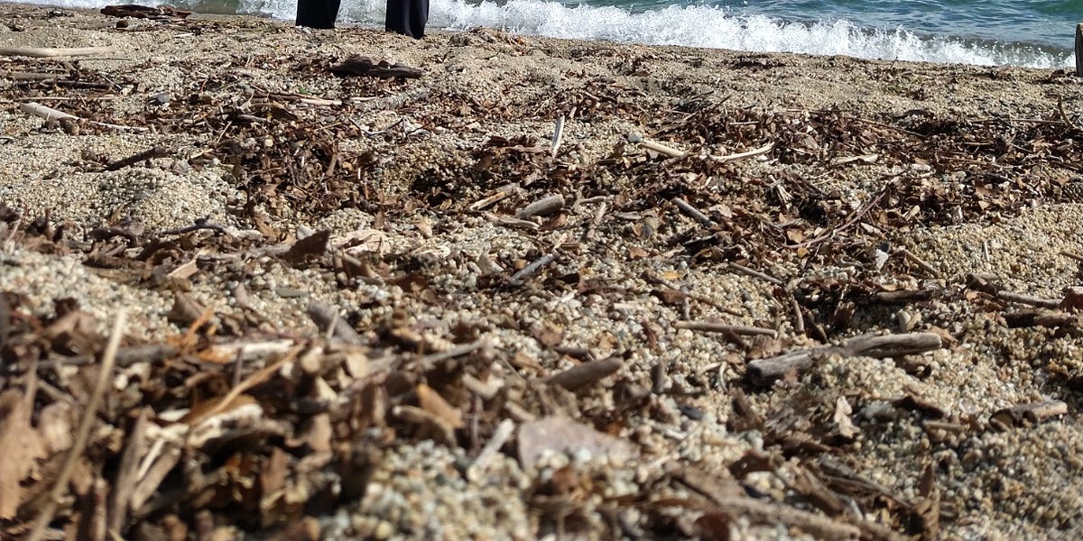 La Ansiedad como motor - by Proyectandoser - Mariam Wolf