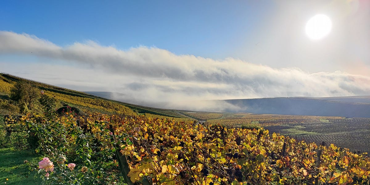 Nose To The Grindstone - by Tom Hewson