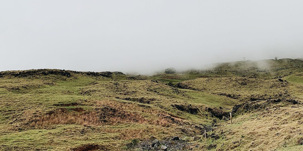 01. INTRO, UPDATES + AFFIRMATIONS for my HEALING INDIGENOUS HEART