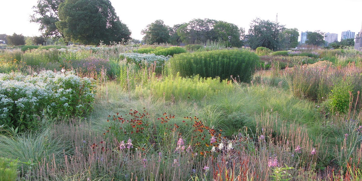 Oudolf Garden Detroit - by Lucy Bellamy - Garden & House