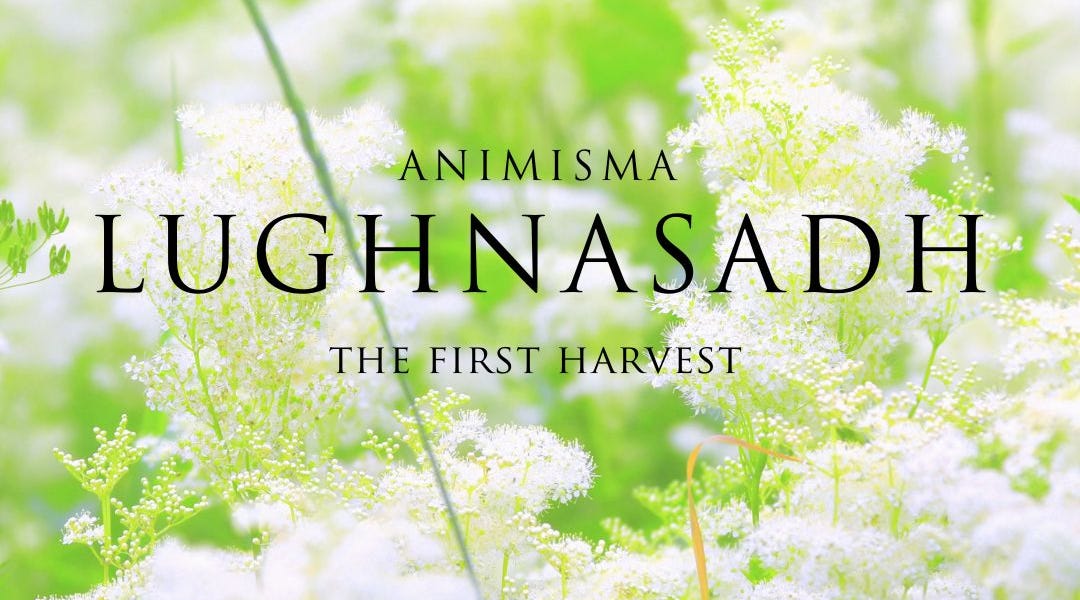 Lughnasadh - The First Harvest - by Heather Louise Porter