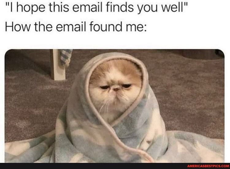 Weird Emails - by Sarah - Weird Emails