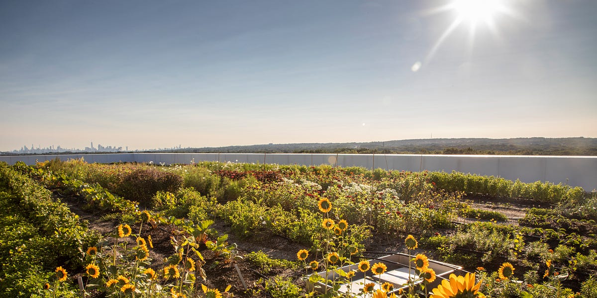 Green Infrastructure Grant Program - Spring Workshop