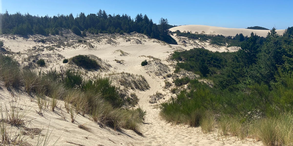 I think it's fun again - by Hannah Exner - Reflected