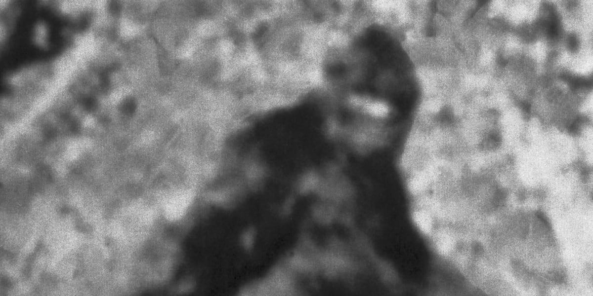 Meaning, the Cryptid - Whimsi