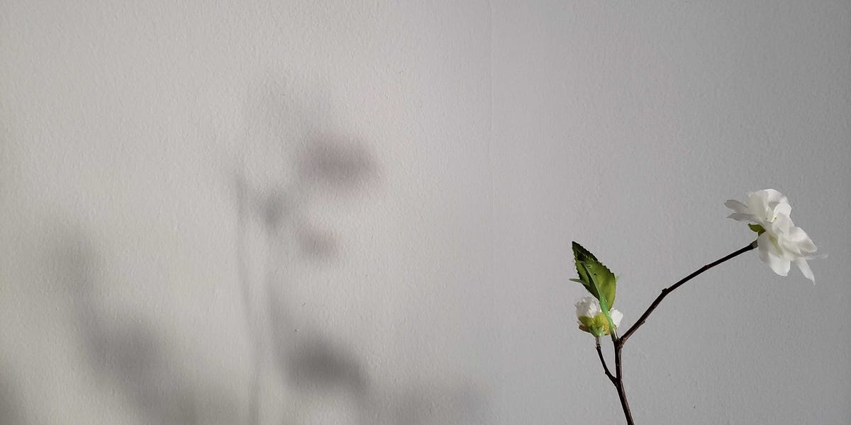 Reflection - Peter Daou