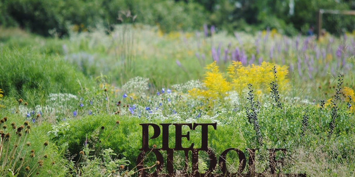 A Delmarva Marvel - by Lolly Jewett - The Bees' Knees