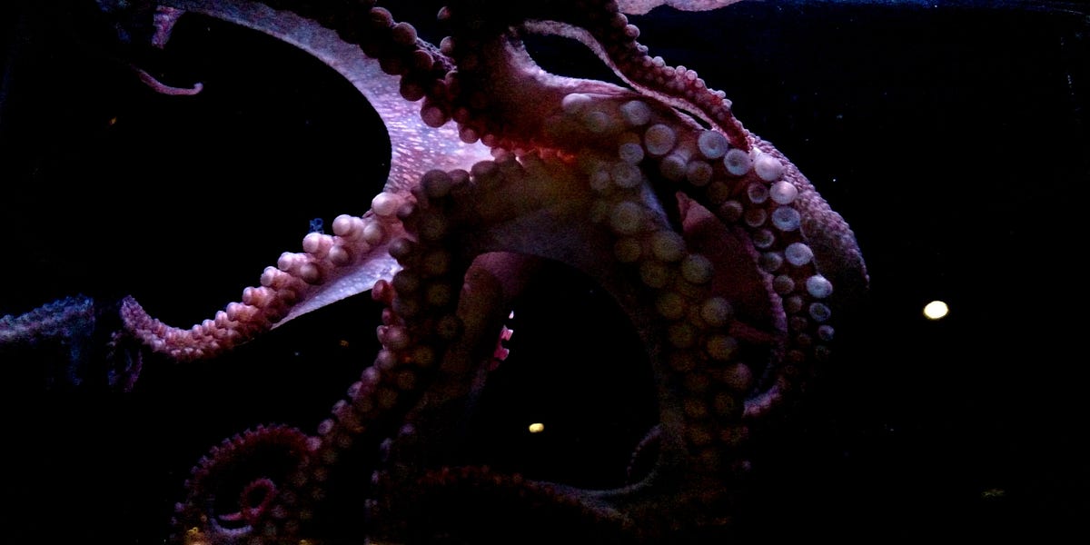 28. Meu querido alien, - by Fernanda Grabauska