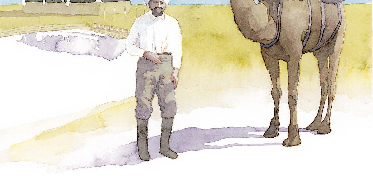 The Cameleers - by Matt Chun and James Tylor - UnMonumental