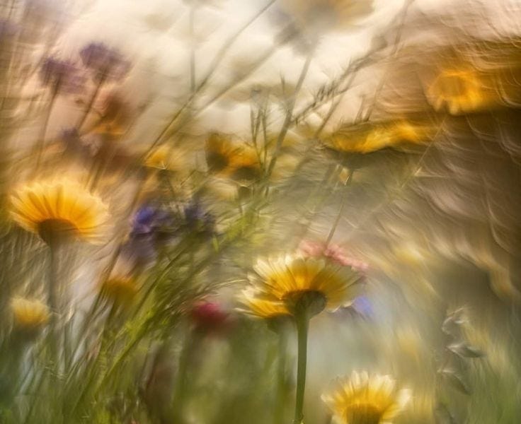 SEPHORA ACCELERATE 2023! - by Simedar