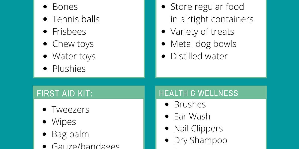 The Ultimate Guide - The Flying Hound