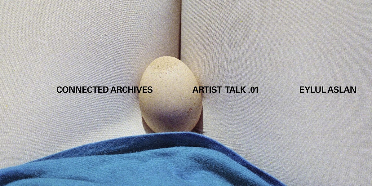 Connected Archives – Artist Talk with Eylul Aslan