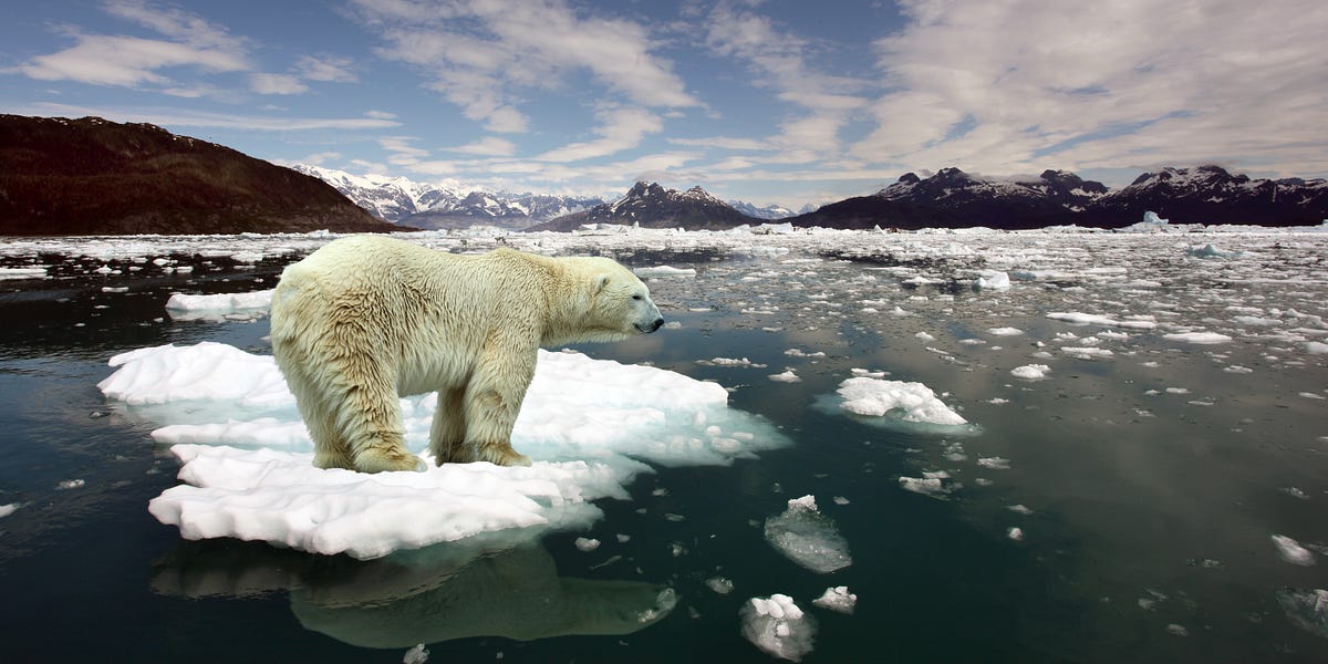 Flattening the Climate Change Curve - by Sam Natbony