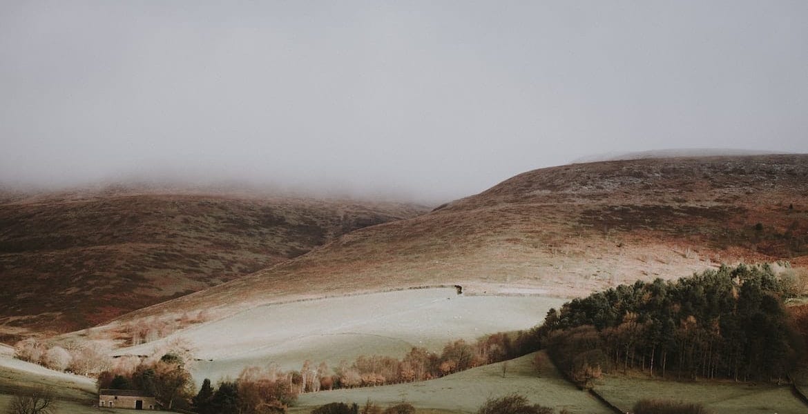 Folk Radio UK Newsletter 29 July 2022 - by Alex Gallacher