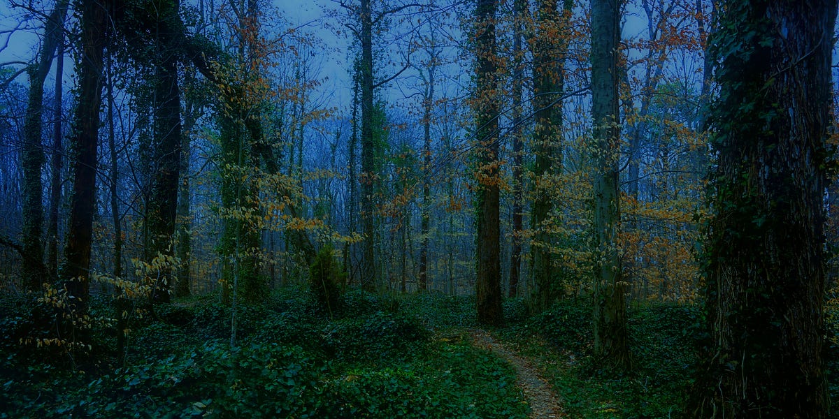 Safe - by Justin Campbell - Fact Check This Substack