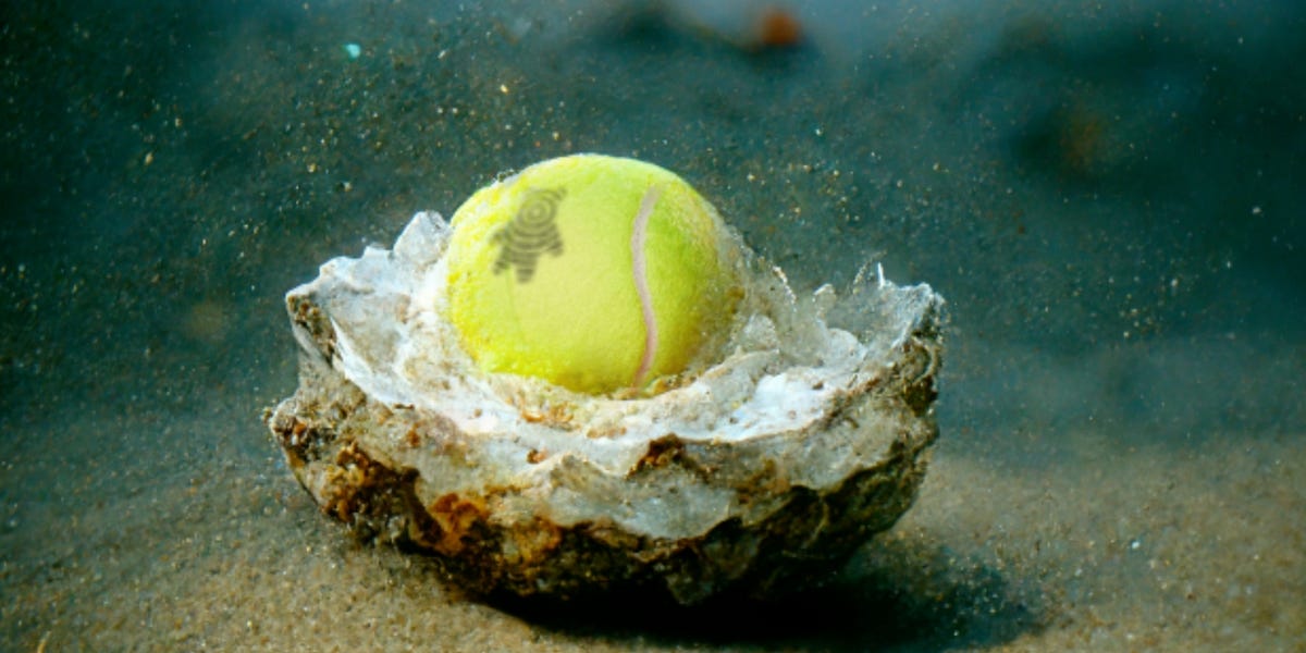 A String of Pearls - by Troy Young - People vs Algorithms