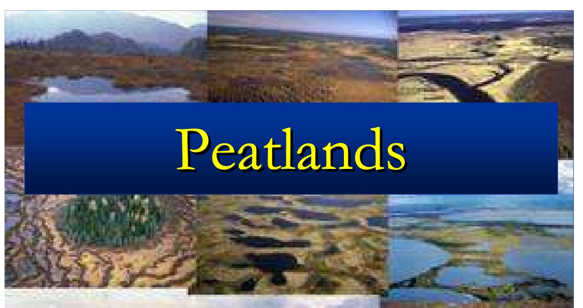 Peatlands & Climate Change: A Global Conversation