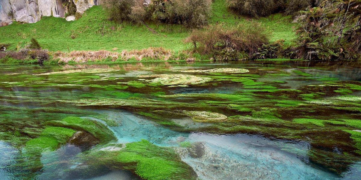 About hydrochar - About hydrochar