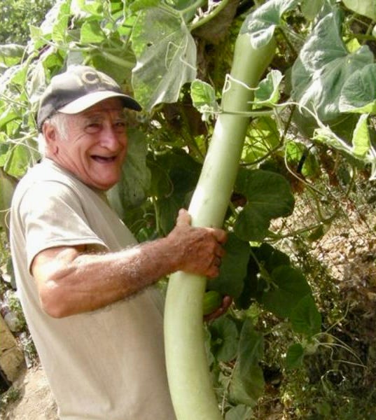 Plucking Around - by Thomas Pluck - What Pluckery Is This?